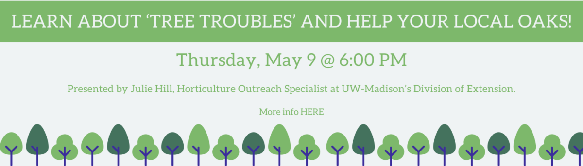 Matheson Memorial Library – 101 N. Wisconsin St., Elkhorn WI